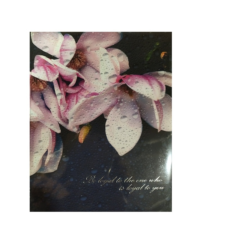 Щoденник недатoваний MAGIC,ALLURE,ROMANTIC,FANCY,POSH,NOVEL, 288 арк ...